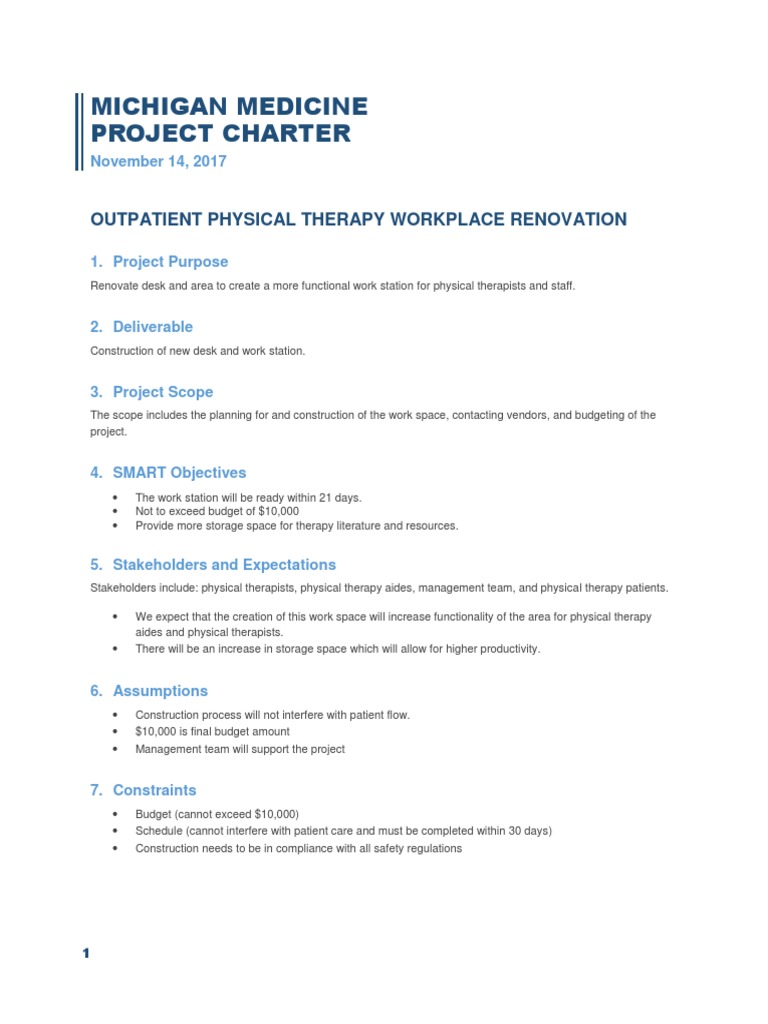 Project Charter | PDF | Physical Therapy | Patient
