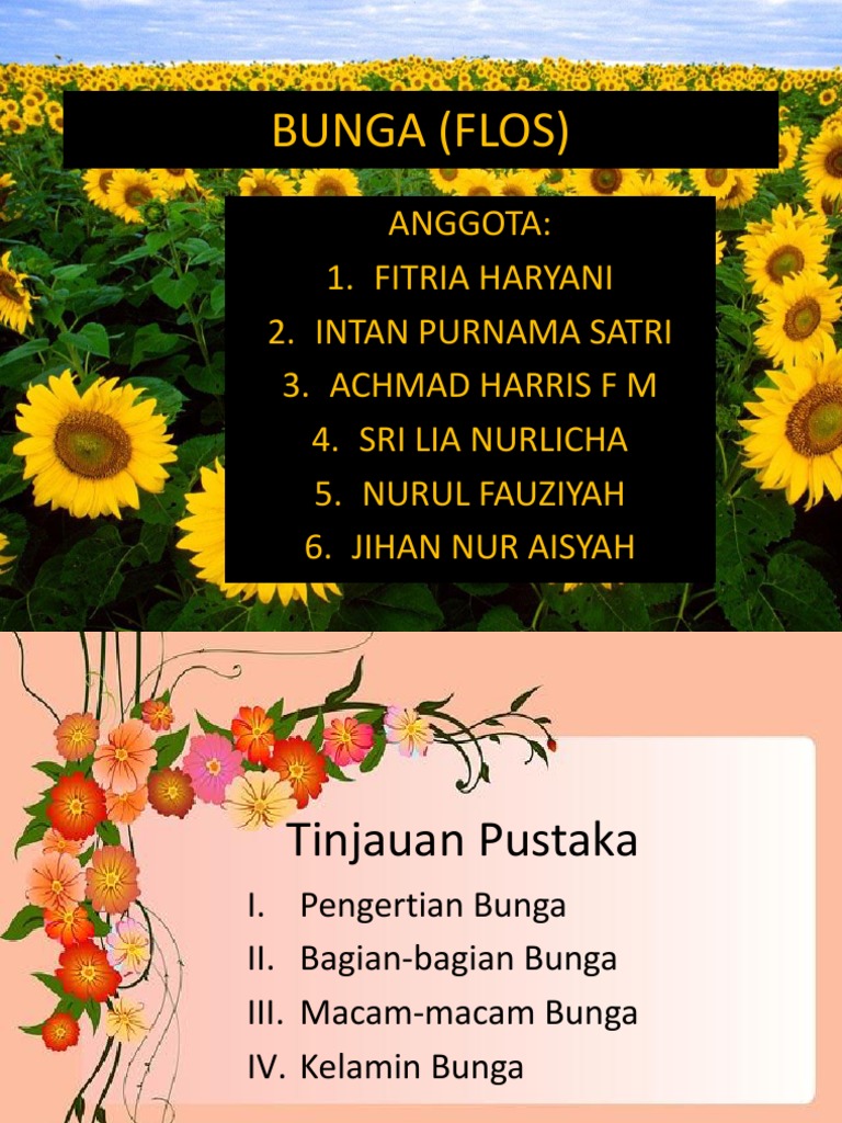 BUNGA (FLOS) Power Point | PDF