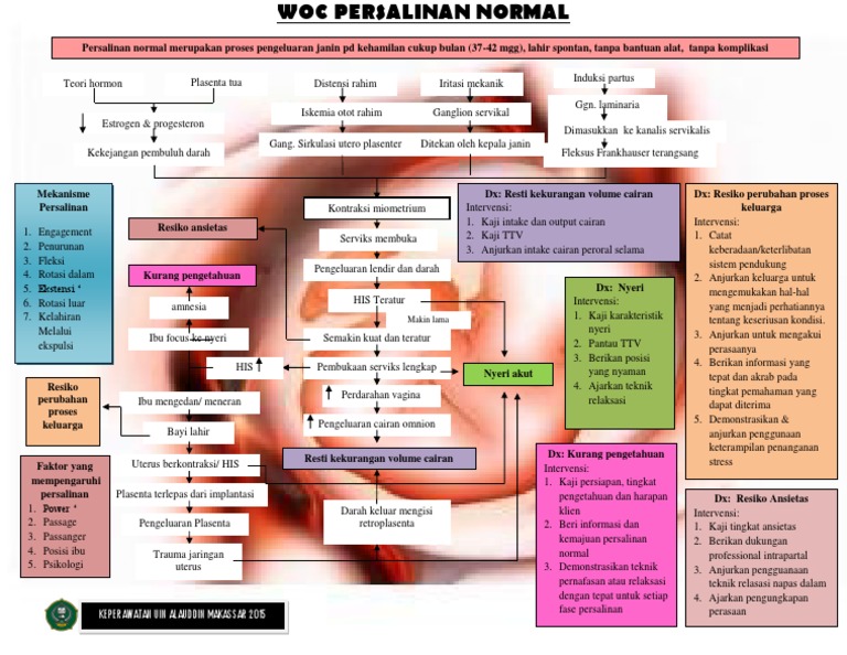 Woc Persalinan Normal | PDF