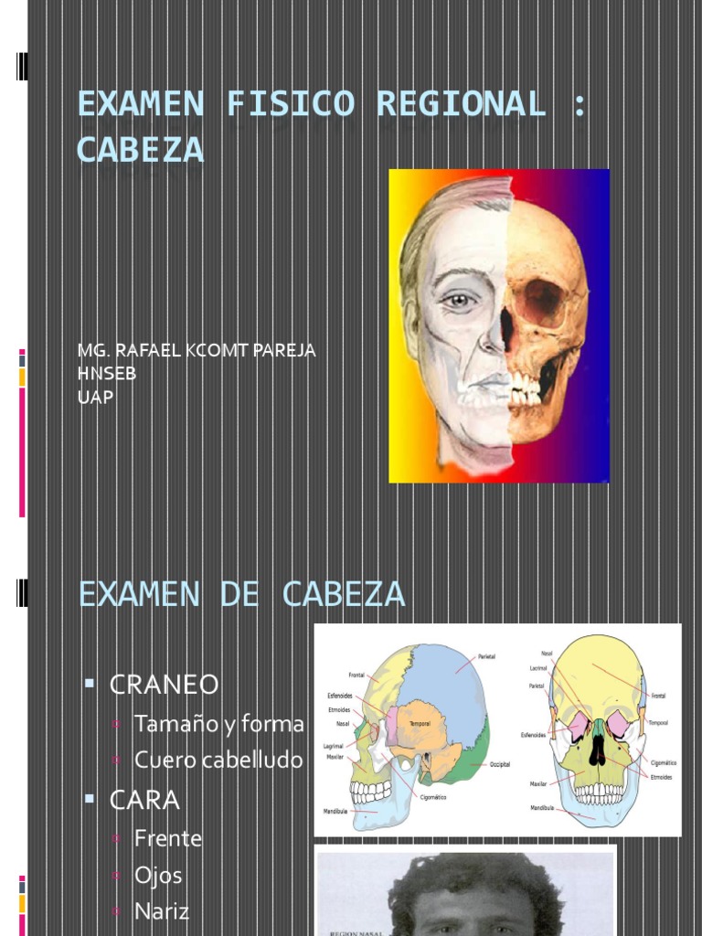 Examen físico completo de la cabeza y el cuello | PDF | Cabeza y cuello humanos | Especialidades ...