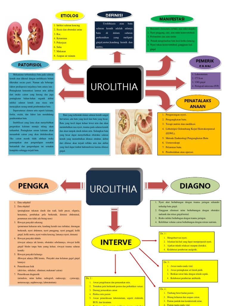Konsep Map Urolithiasis | PDF