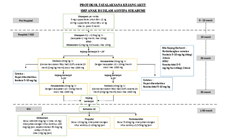 Protokol Tatalaksana Kejang Akut Anak | PDF