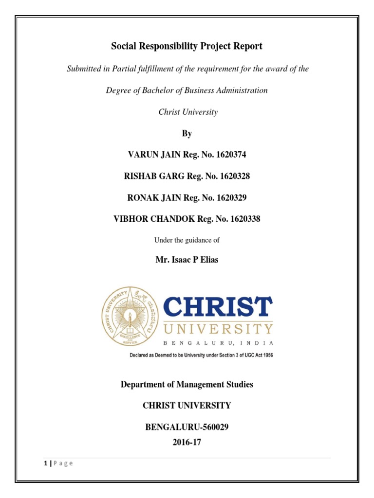 Social Responsibility Project Report | PDF | Non Governmental ...