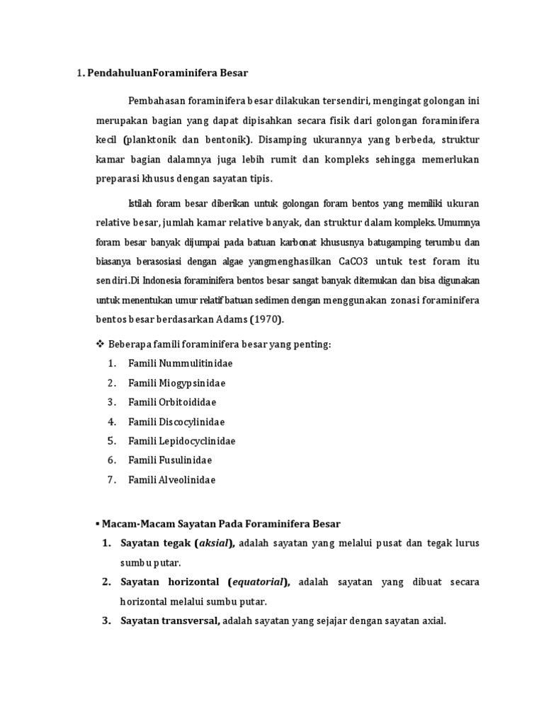 Sayatan Transversal Foraminifera Besar | PDF