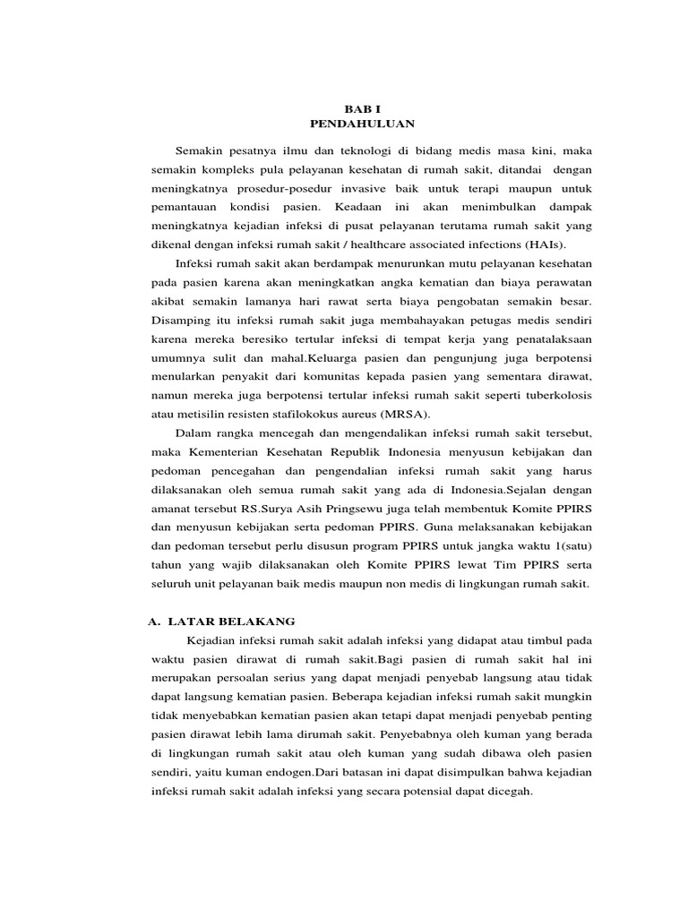 Program Ppi 2018 | PDF