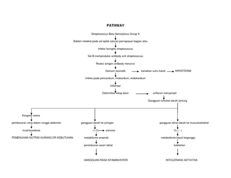 Pathway Demam Reumatik | PDF