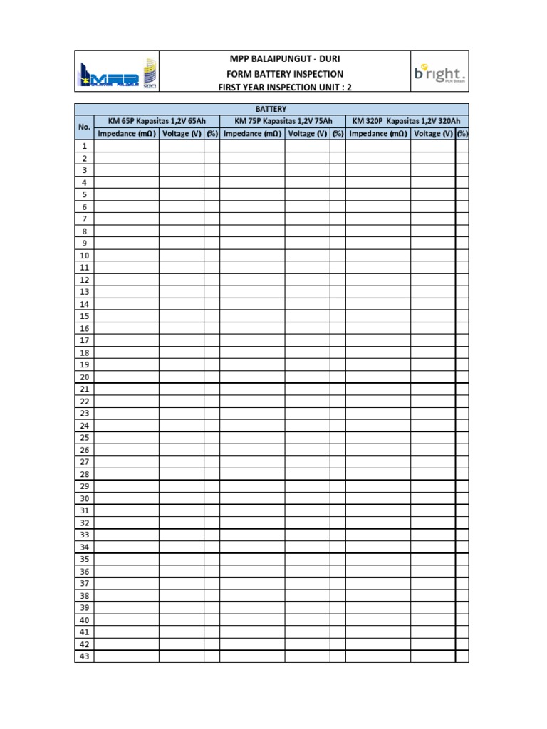 Form Battery Inspection | PDF