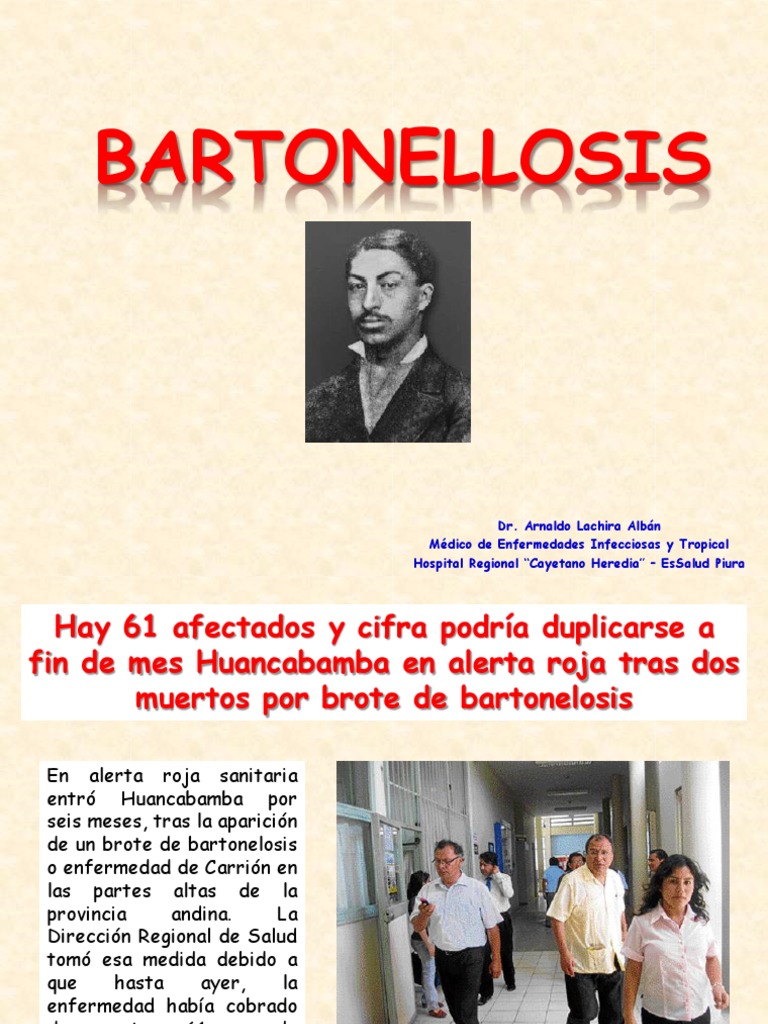 Bartonelosis Agosto 2017 | PDF | Especialidades Medicas | Medicina CLINICA