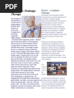 Kelly Kennedy Lymphatic Lessons | PDF | Lymphatic System | Lymph