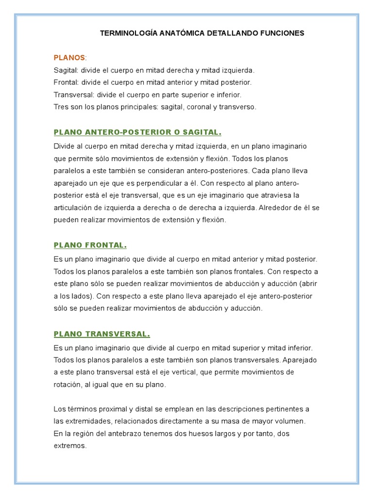 Terminología Anatómica Detallando Funciones | PDF | Naturaleza