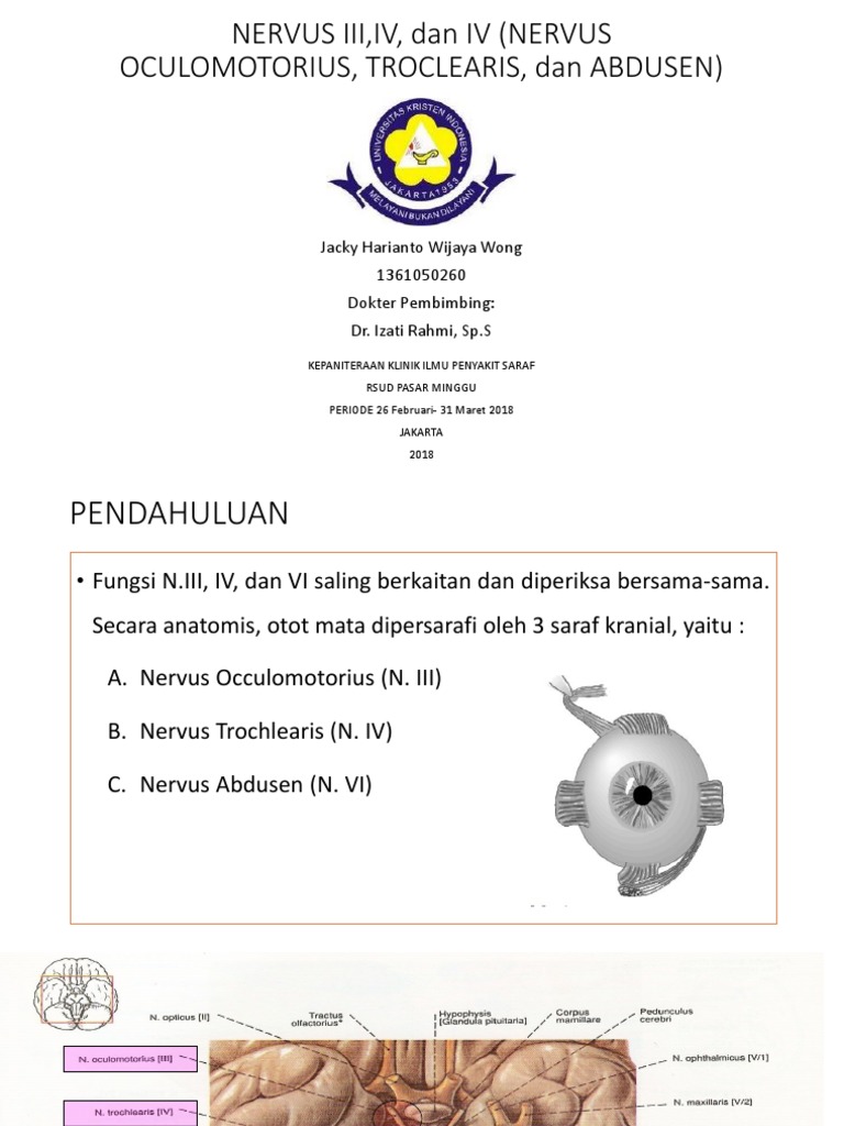 Nervus 3,4,6 | PDF