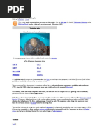 Angio Checklist | PDF | Blood | Hematology