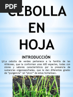 Biografía de Pedro Ignacio Muiba | PDF | Política | Religión y ...