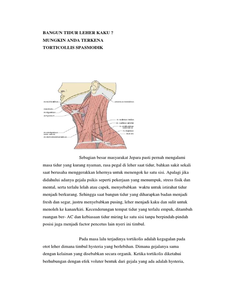 Bangun Tidur Leher Kaku | PDF