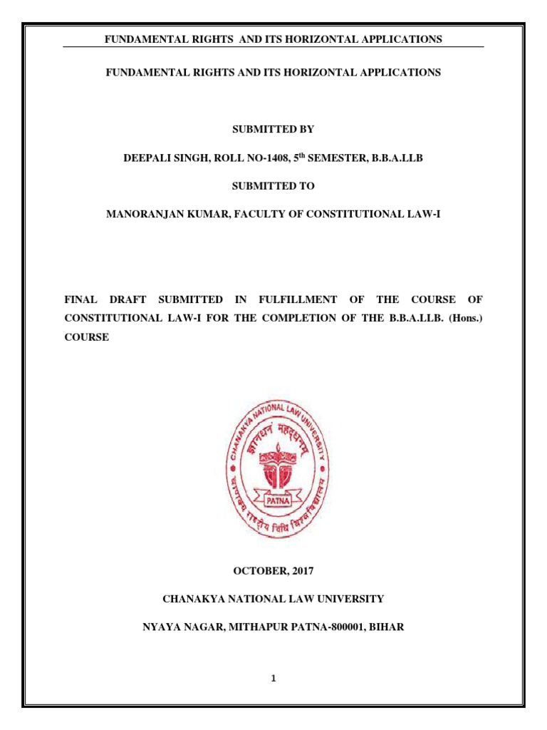 Constitution Project | Download Free PDF | Natural And Legal Rights ...