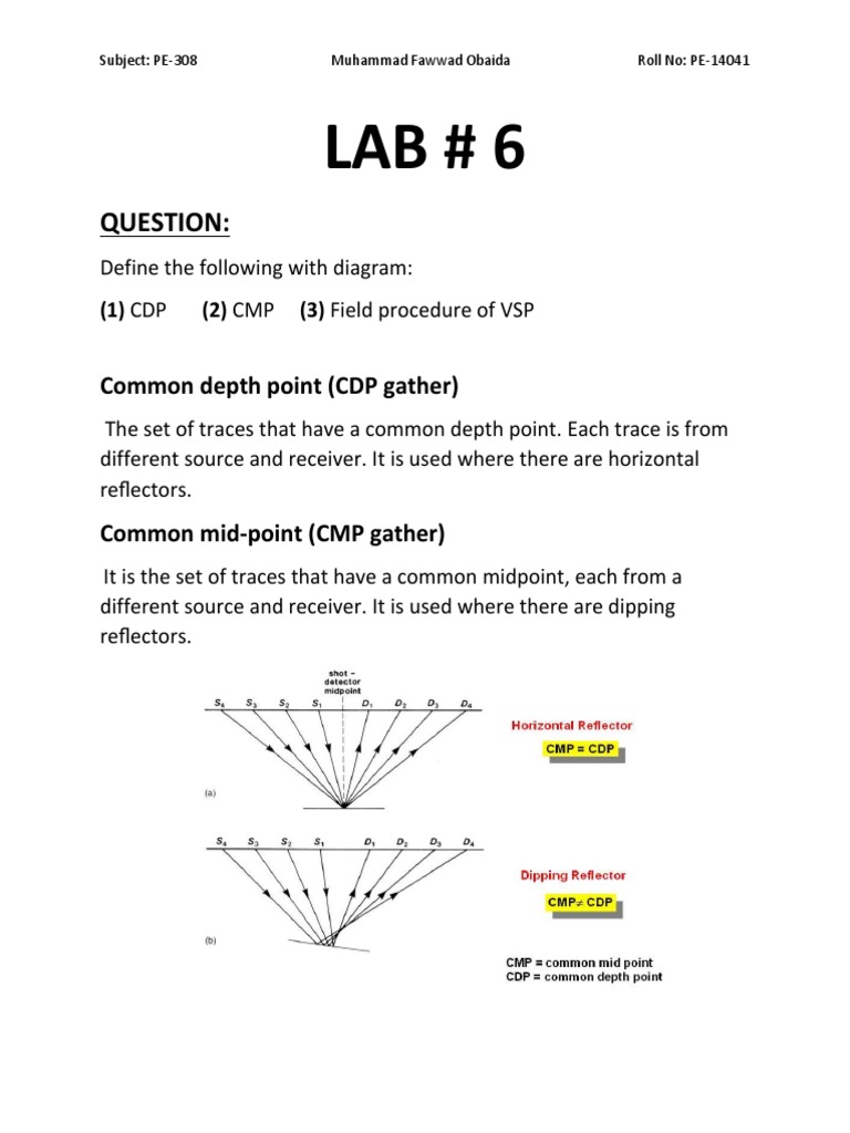 CDP, CMP and VSP definitions | PDF