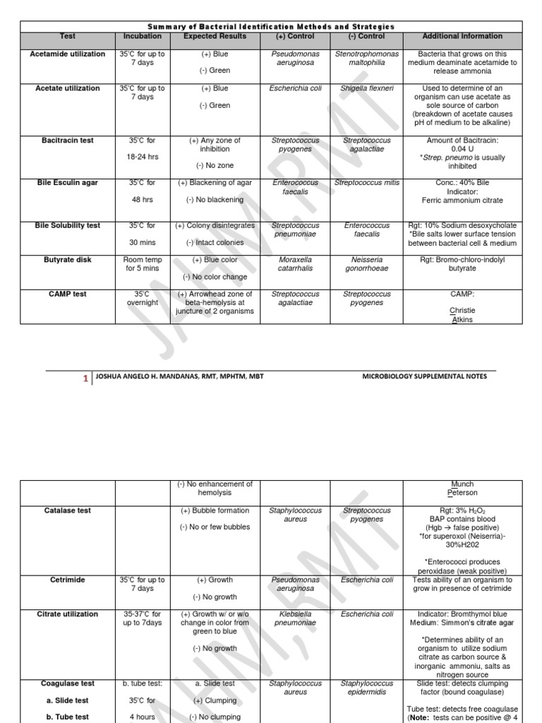 Bacterial Identification Methods Summary | PDF | Streptococcus | Growth ...