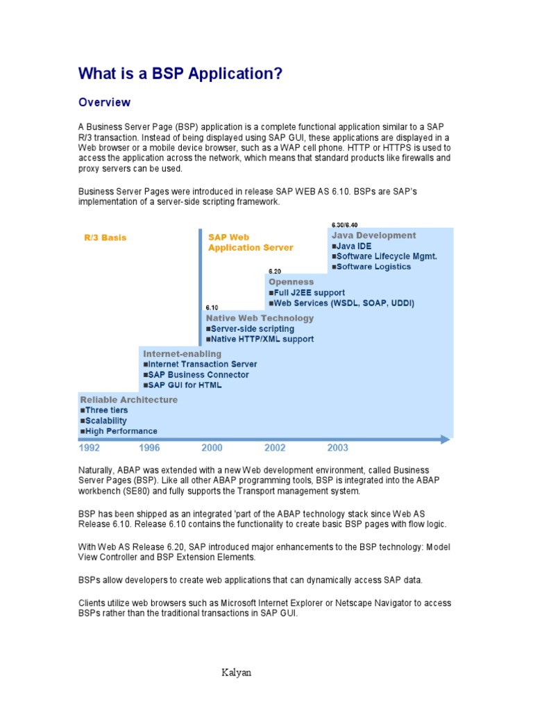What Is A BSP Application?: Kalyan | PDF | Http Cookie | Model–View–Controller