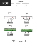 Magnetic Particle Test Report Format | PDF