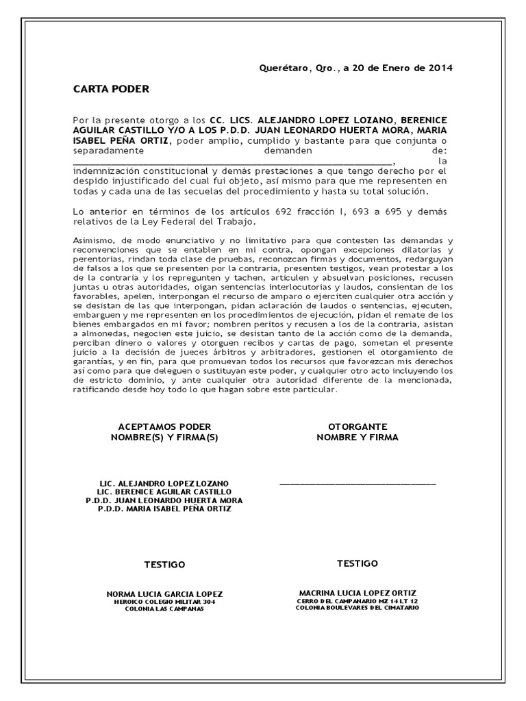 Formato Carta Poder | PDF | Información del gobierno | Instituciones ...