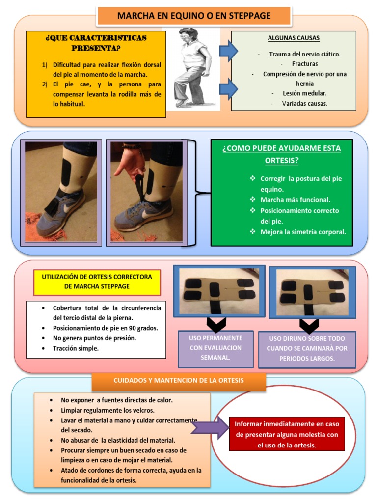 Características y tratamiento de la marcha en equino o en steppage ...