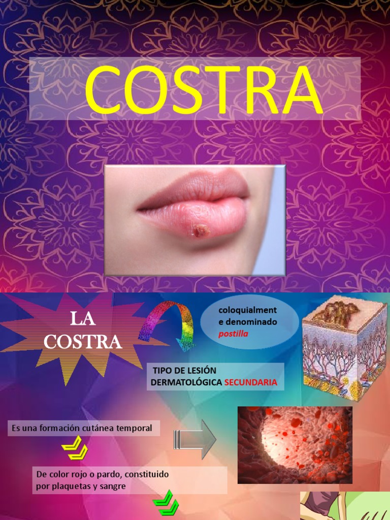 COSTRA | PDF | Piel | Medicina