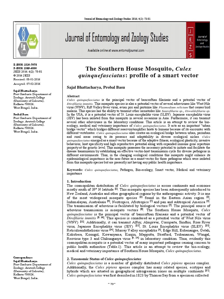 Culex Vector | PDF | Mosquito | Vector (Epidemiology)