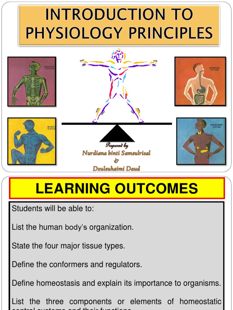 Chapter 1.0 Introduction To Physiological Principles | PDF ...