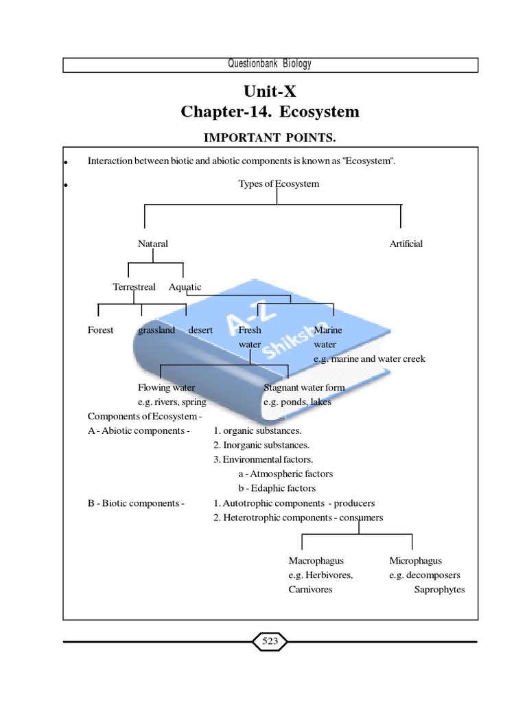 Unit-X Chapter-14. Ecosystem: Important Points | Download Free PDF | Food Web | Ecosystem