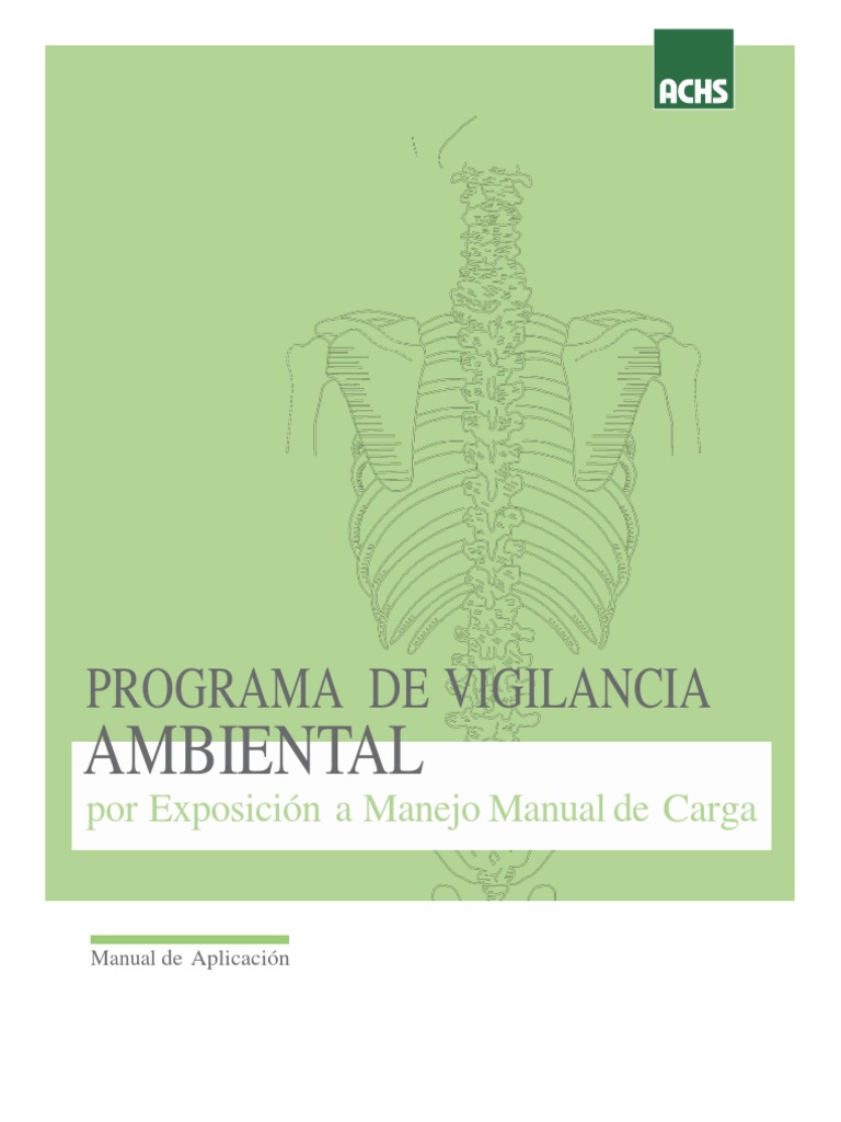 Manual de Implementacion Protocolo Manejo Manual de Carga (MMC) | PDF | Fuerza | Microsoft Excel