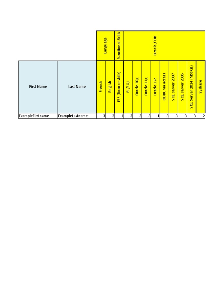 Skill Matrix Template | PDF
