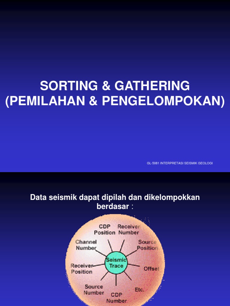 01 Sort & Gather | PDF