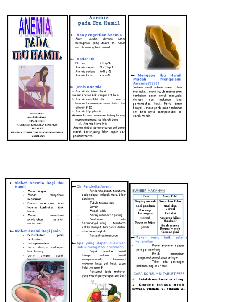 Anemia Leaflet | PDF