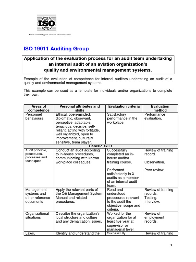 Example Aviation Organisation | PDF | Internal Audit | Risk