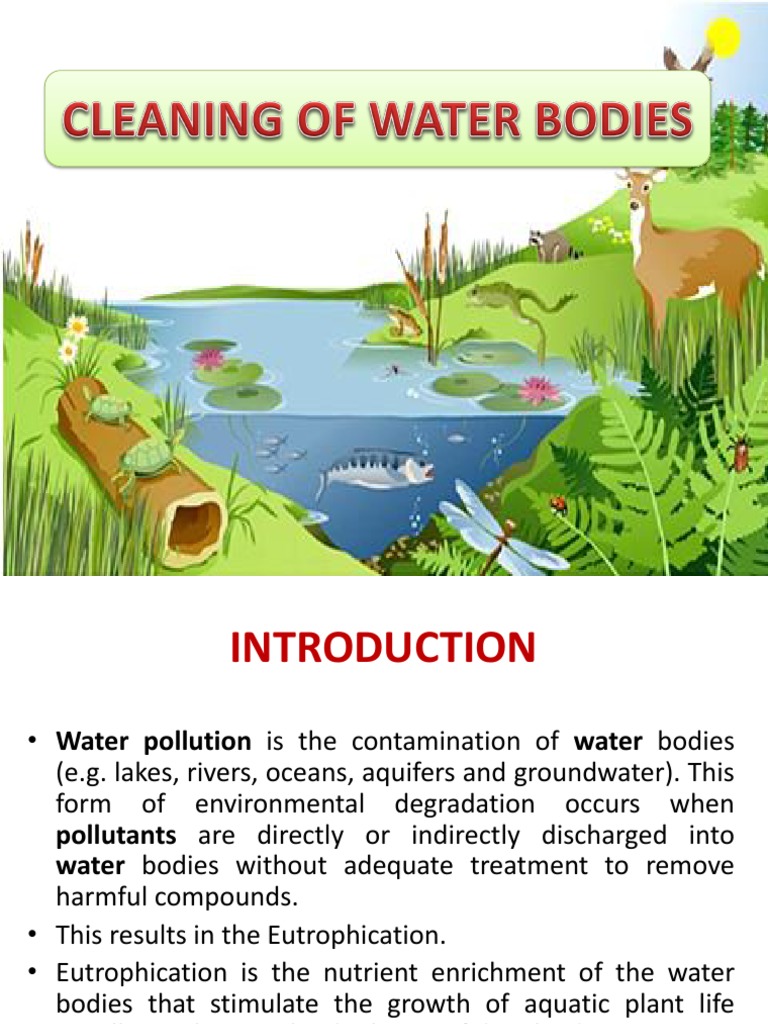 Cleaning of Water Bodies | PDF | Eutrophication | Water Pollution