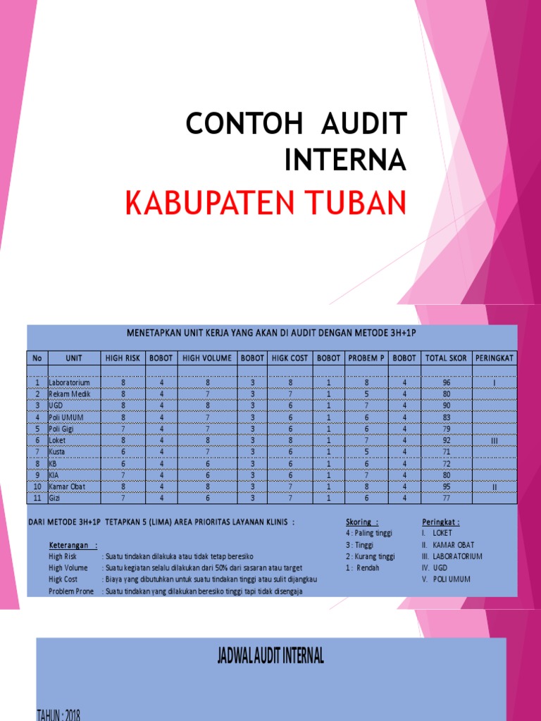 Contoh Audit Internal | PDF