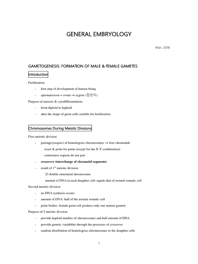 General Embryology: Gametogenesis: Formation of Male & Female Gametes ...