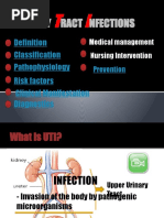 Pathophysiology of Uti | PDF | Urinary Tract Infection | Urinary Bladder