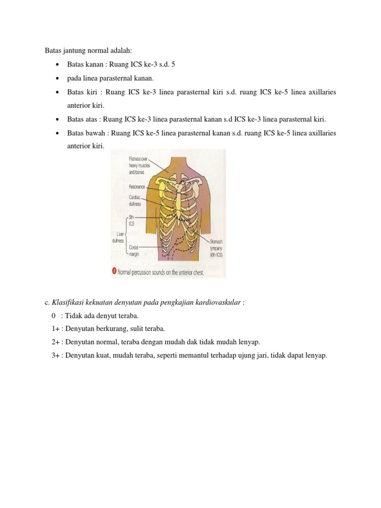 Batas Jantung Normal | PDF