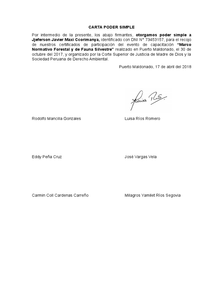 Carta Poder Simple | PDF
