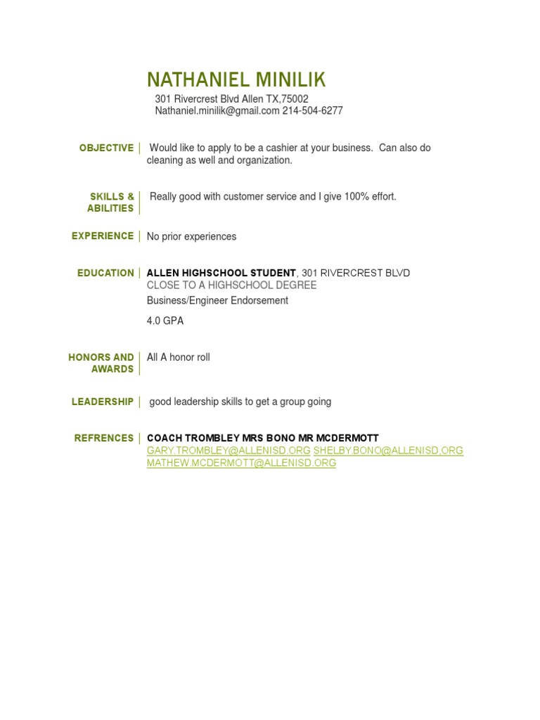 Nathaniel Minilik | PDF | Career & Growth | Business