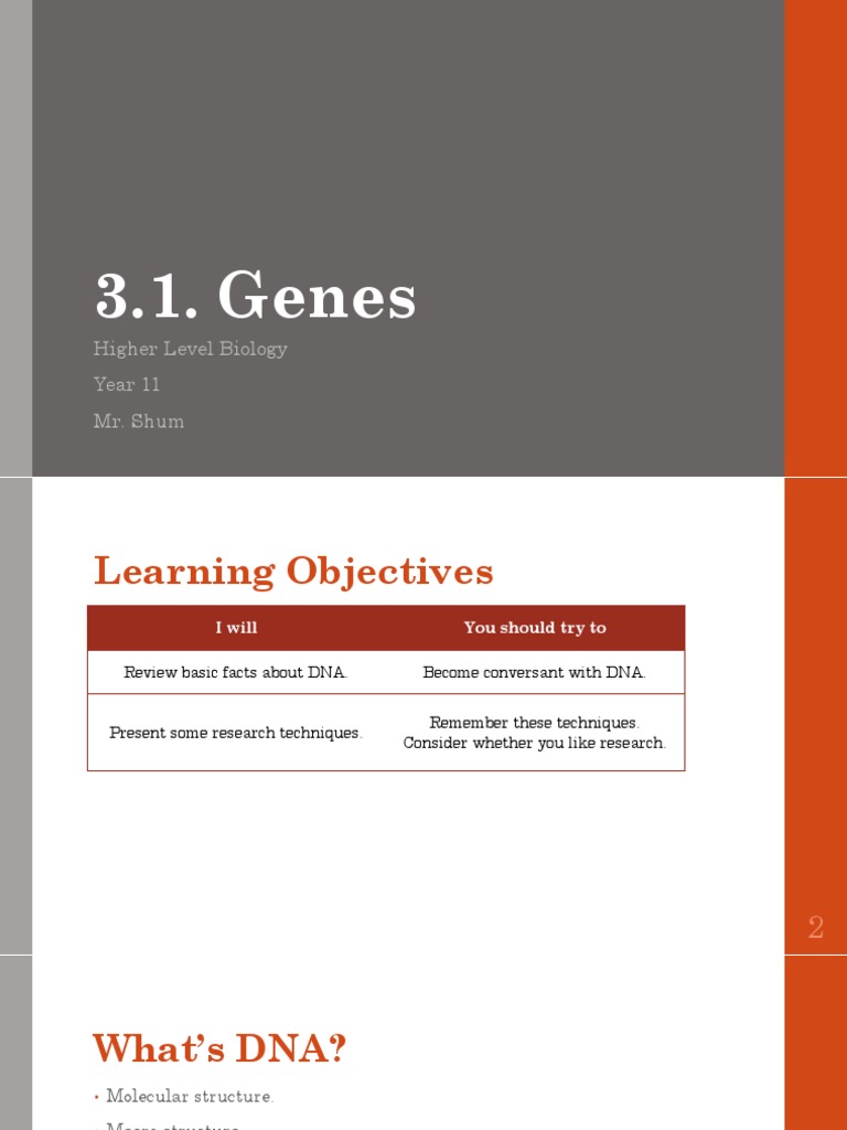 3.1. Genes: Higher Level Biology Year 11 Mr. Shum | PDF | Genome | Gene