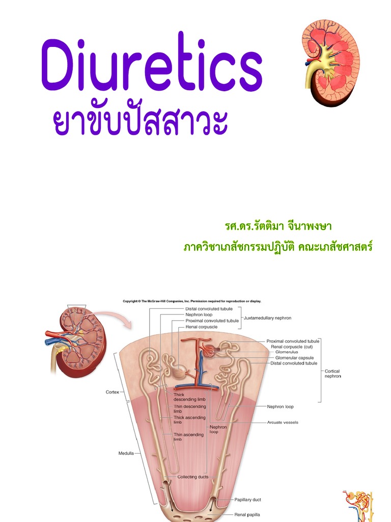 Diuretics | PDF