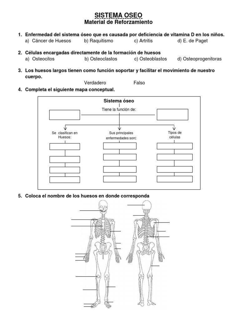 SISTEMA OSEO Reforzamiento | PDF