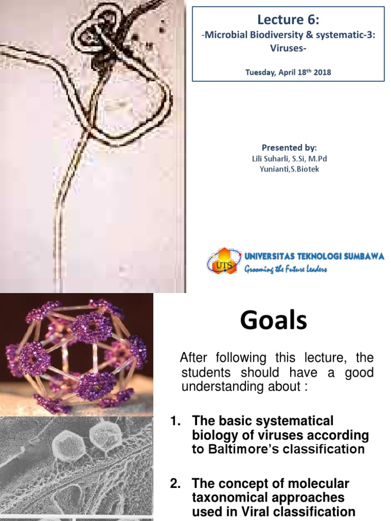 Lecture 6-Microbial Systematics 3-Viruses | PDF | Virus | Bacteriophage