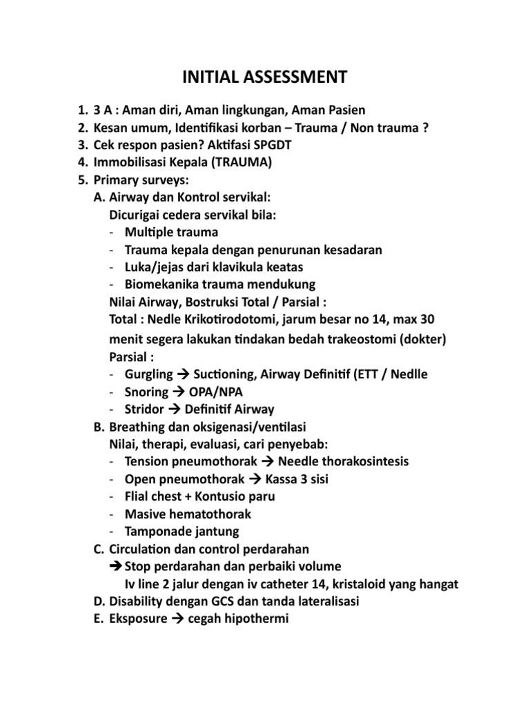 Initial Assessment | PDF