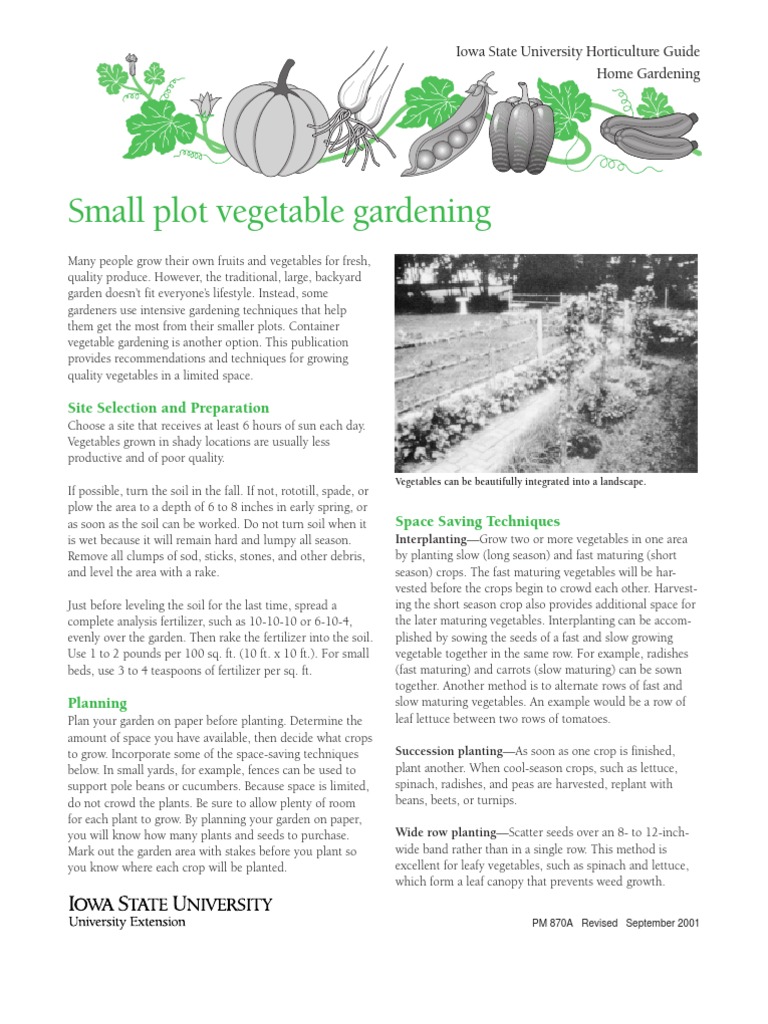 (Ebook - Diy) - Small Plot Vegetable Gardening | PDF