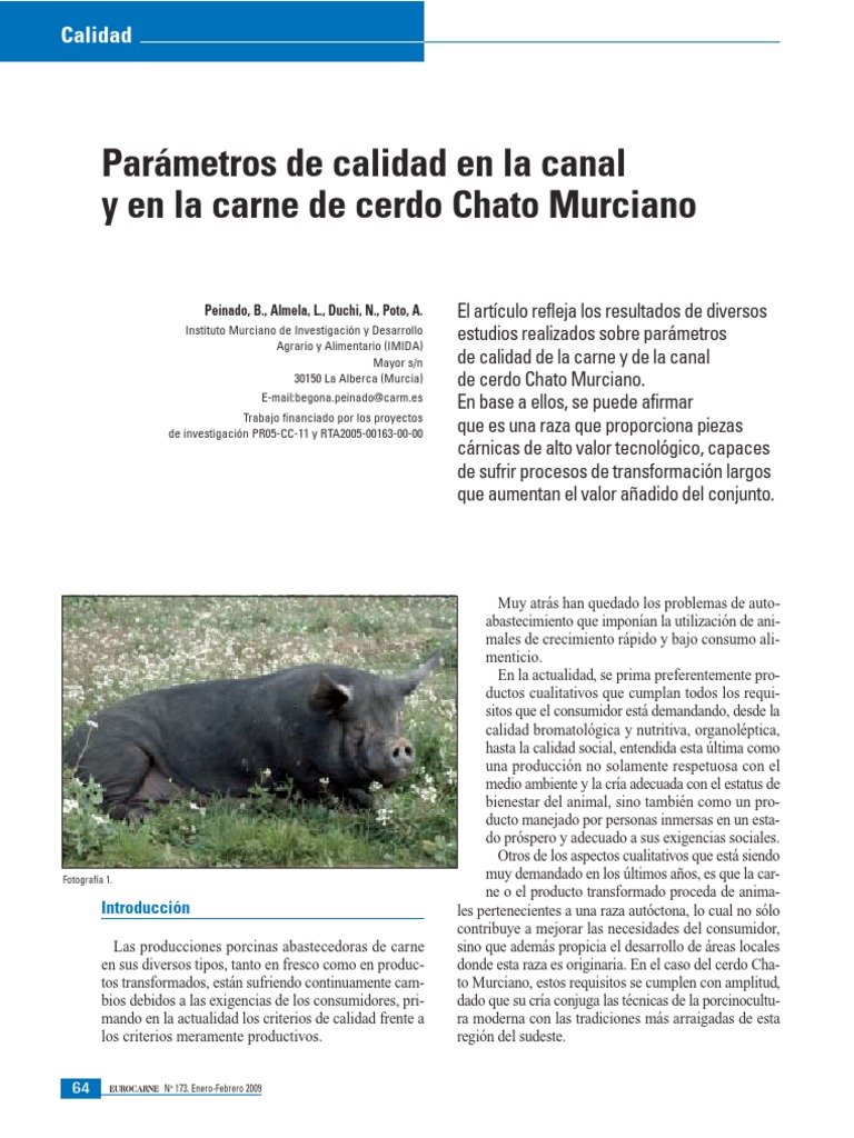 Carne de Cerdo | PDF | Cerdo doméstico | Carne