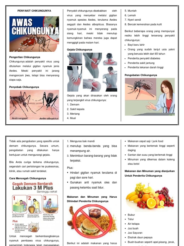 Penyakit Chikungunya | PDF