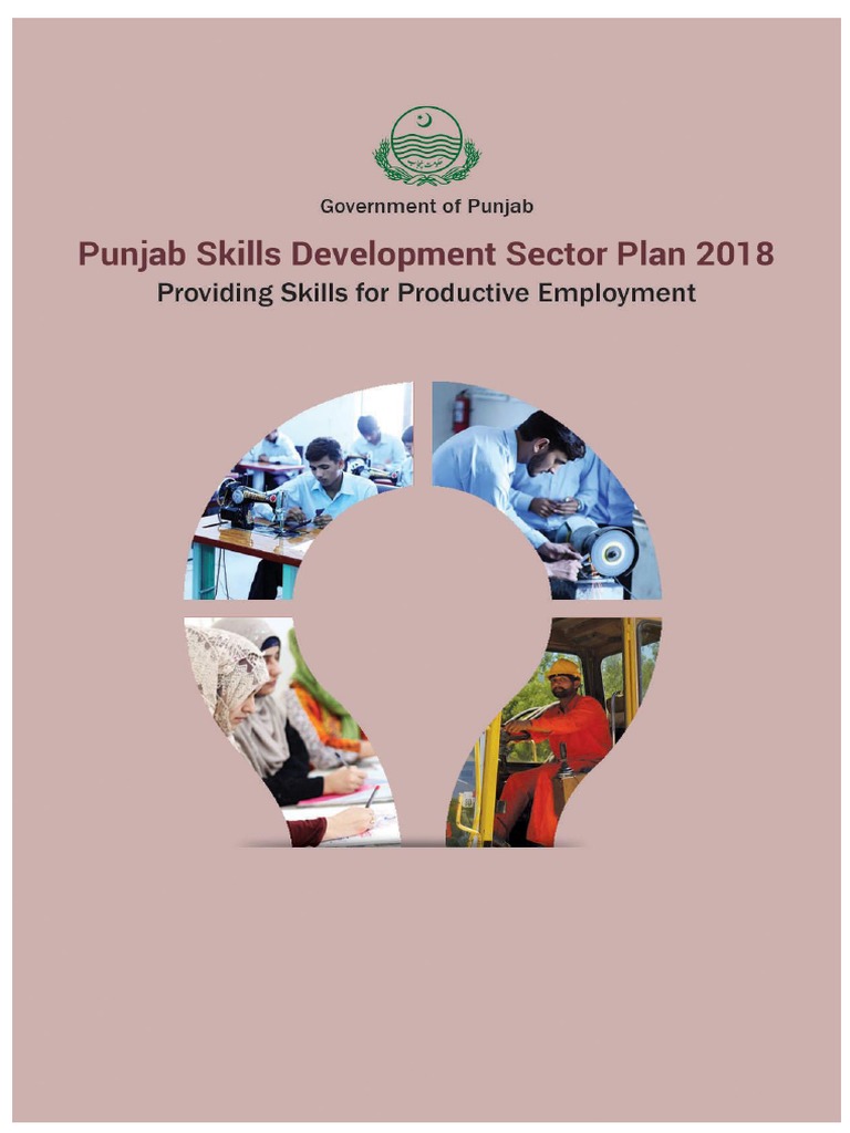 Punjab Skills Development Sector Plan 2018 | PDF | Unemployment ...
